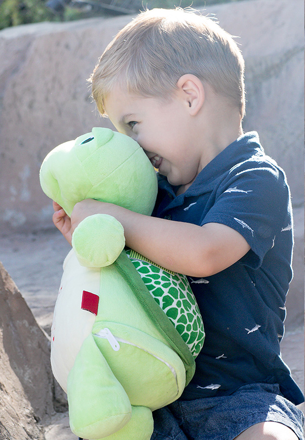 Turtle-Model-2 - Cubbies